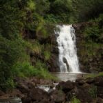 Oahu: North Shore Waterfall Swim - Authentic Moments on a Trip to North Shore