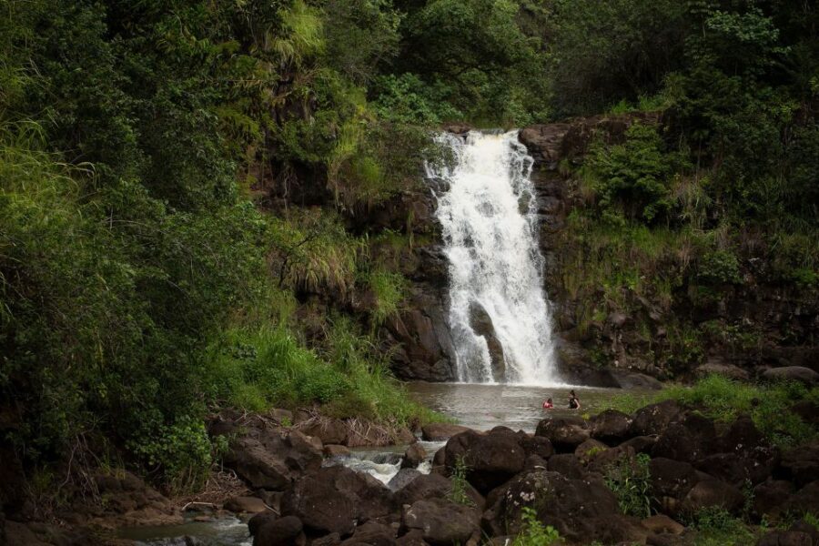 Oahu: North Shore Waterfall Swim - Authentic Moments on a Trip to North Shore