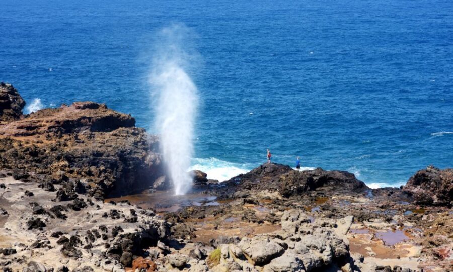 Oahu: Oahu Ultimate Grand Circle Island Tour - Transport and Group Dynamics
