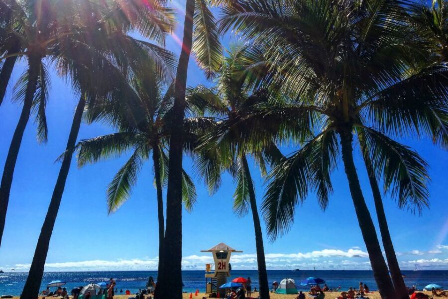 Oahu: Pearl Harbor and Honolulu City Tour - Authentic Experiences and Travelers’ Feedback