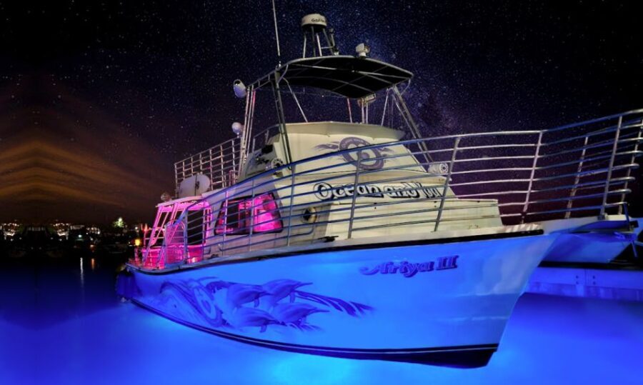 Oahu: Premium Waikiki Sunset Party Cruise with Live DJ - The Experience in Detail