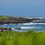 Oahu: Private Tour-Circle Island-Customizable - Transport, Timing, & Group Dynamics