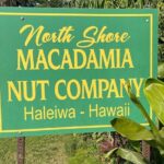 Oahu Private Tour North Shore, Waimea Falls and Dole Plantation - Who Would Appreciate This Tour?