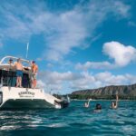 Oahu: Private Turtle Snorkeling with Customizable Itinerary - Key Points