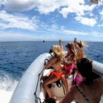 Oahu: Private Whale Watching Adventure - Analyzing the Value
