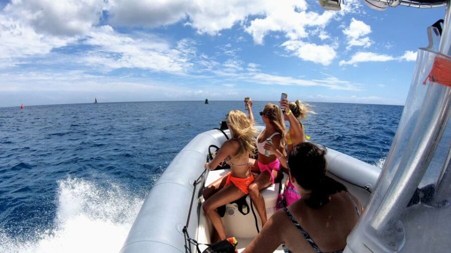 Oahu: Private Whale Watching Adventure - Analyzing the Value
