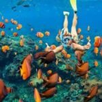 Oahu: Snorkel Adventure in Marine Sanctuary - Who Should Consider This Tour