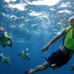 Oahu: Sunset Snorkeling, Dolphin Watch Cruise, Hawaiian meal - What the Reviews Say