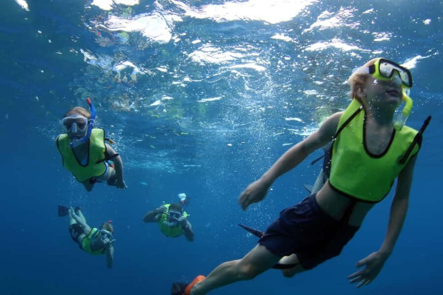 Oahu: Sunset Snorkeling, Dolphin Watch Cruise, Hawaiian meal - What the Reviews Say
