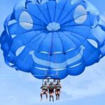 Oahu: Waikiki Parasailing - The Flight: Panoramic Views and Wildlife Encounters