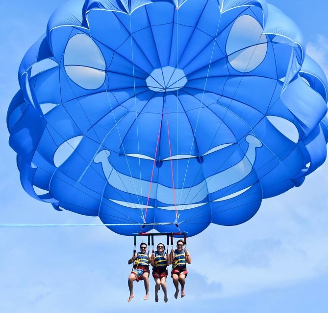 Oahu: Waikiki Parasailing - The Flight: Panoramic Views and Wildlife Encounters