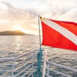 Oahu: Waikiki Turtle Canyons Cruise and Snorkel Excursion - Who Should Book This Tour?