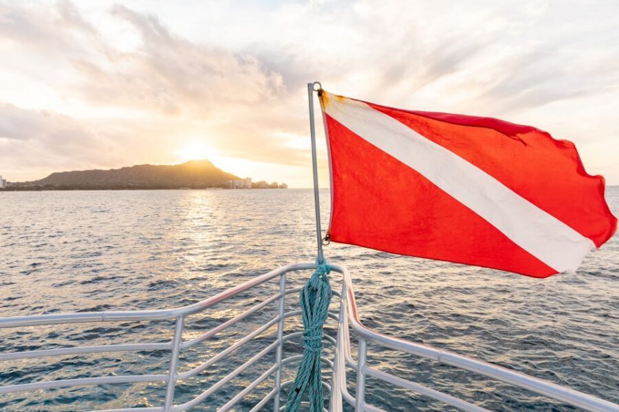 Oahu: Waikiki Turtle Canyons Cruise and Snorkel Excursion - Who Should Book This Tour?