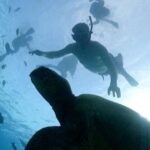 Oahu: Waikiki Turtle Snorkeling Adventure Cruise - What the Snorkeling Part Looks Like