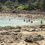 Oahu: Waimea Falls & valley & North Shore day - Key Points