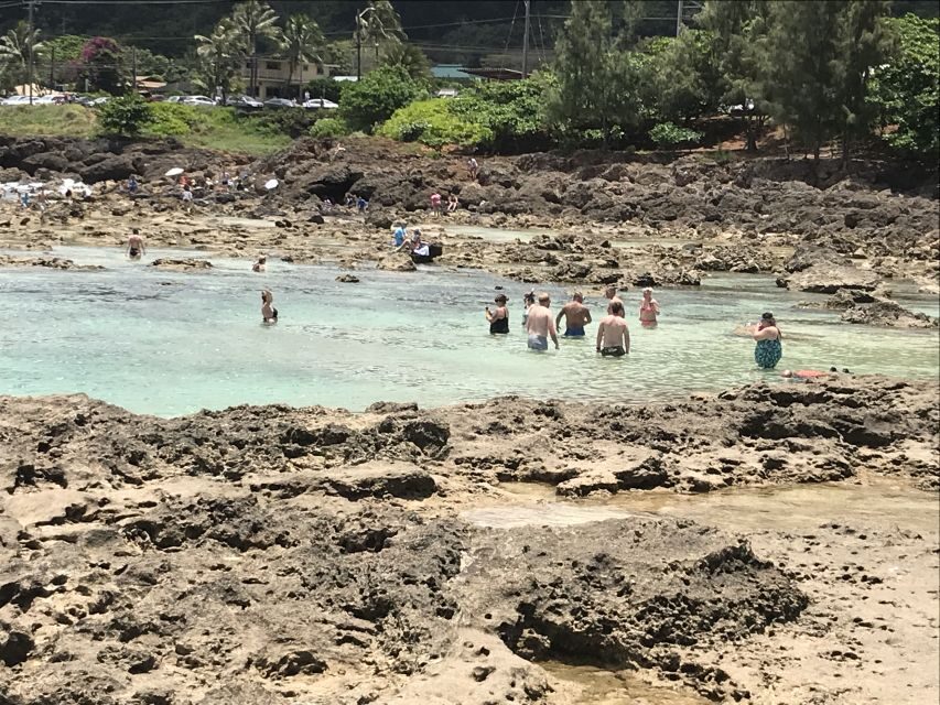 Oahu: Waimea Falls & valley & North Shore day - Key Points