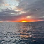 Oahu: Whale Sail Charter - Who Will Love This Experience