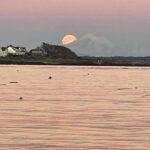 Oak Bay: Full Moon Paddle Experience - Practical Tips for a Smooth Experience