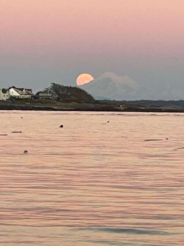 Oak Bay: Full Moon Paddle Experience - Practical Tips for a Smooth Experience