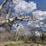 Oak Creek Canyon, with Native American history and Chapel too! - What’s Included and How It Adds Value