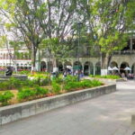 Oaxaca : City Tour - Exploring the Heart of Oaxaca