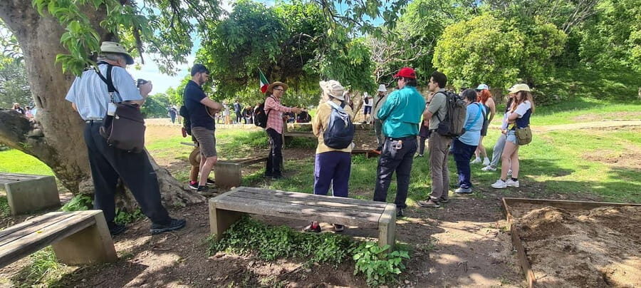 Oaxaca: Discover the secrets of Monte Albán - Final Thoughts