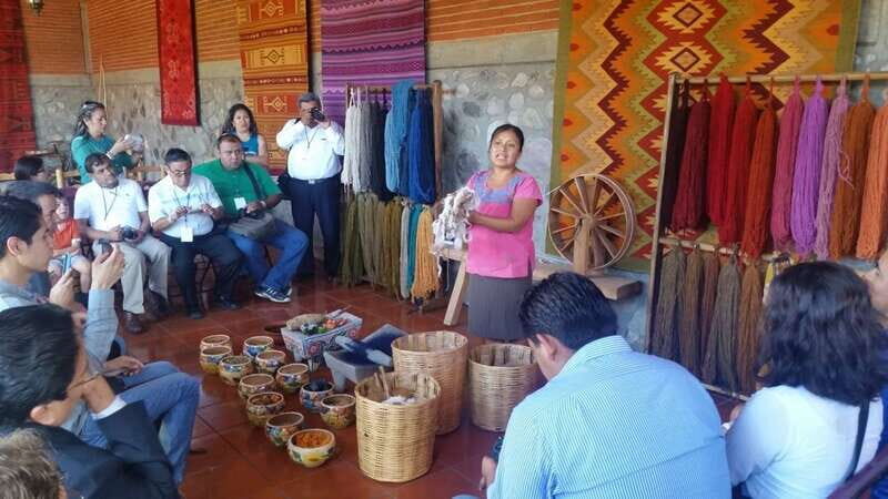 Oaxaca: El Tule, Mitla, and Hierve el Agua Tour with Mezcal - Transportation, Timing, and Value