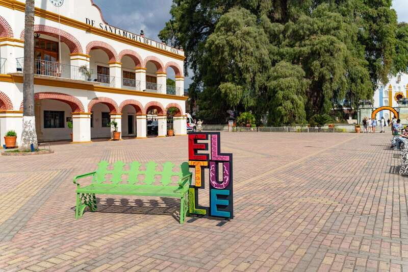 Oaxaca: El Tule tree, Teotitlan Village & Mezcal Tour - Practical Details and Value