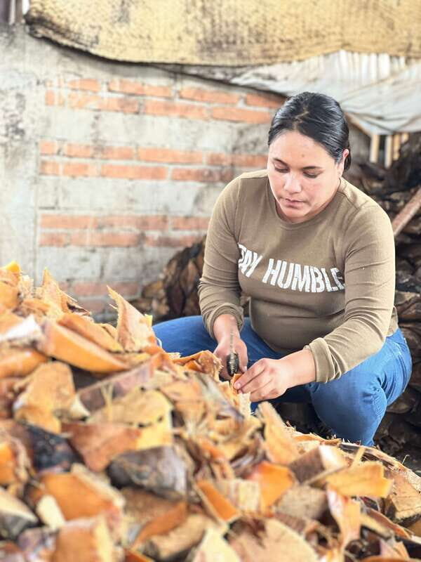 Oaxaca: Empowering Women Private Tour - What to Expect from the Oaxaca Women’s Empowerment Tour