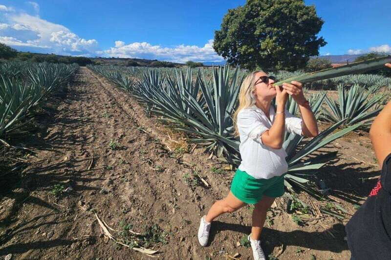 Oaxaca: Hierve el Agua, Mezcal Distillery, and Lunch Tour - Lunch in the Maguey Fields
