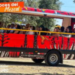 Oaxaca- Mezcal Voices - Who Will Love This Tour?