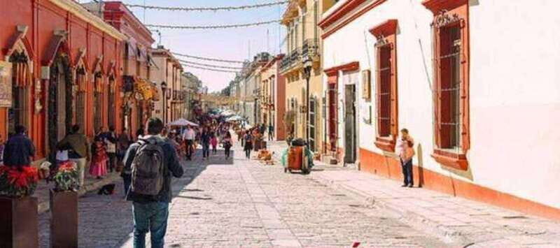 Oaxaca: Private City Tour with Local Food Buffet - Analyzing the Value