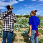 Oaxaca: Private Gastronomy and Culture Tour - The Itinerary in Detail