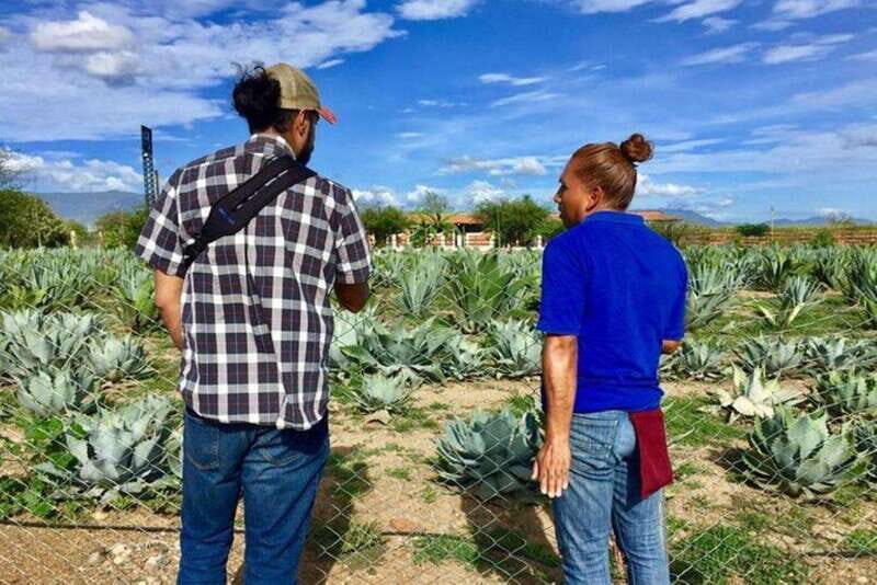 Oaxaca: Private Gastronomy and Culture Tour - The Itinerary in Detail