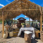 Oaxaca: Private Lunch in Maguey Fields with Mezcal Tasting - Who Should Consider This Tour?
