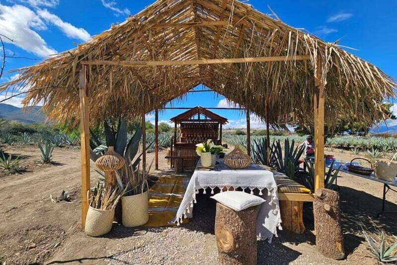 Oaxaca: Private Lunch in Maguey Fields with Mezcal Tasting - Who Should Consider This Tour?