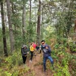 Oaxaca: Sierra Norte Ixtepeji Guided Hike & Lunch, Half-Day - The Experience in Detail