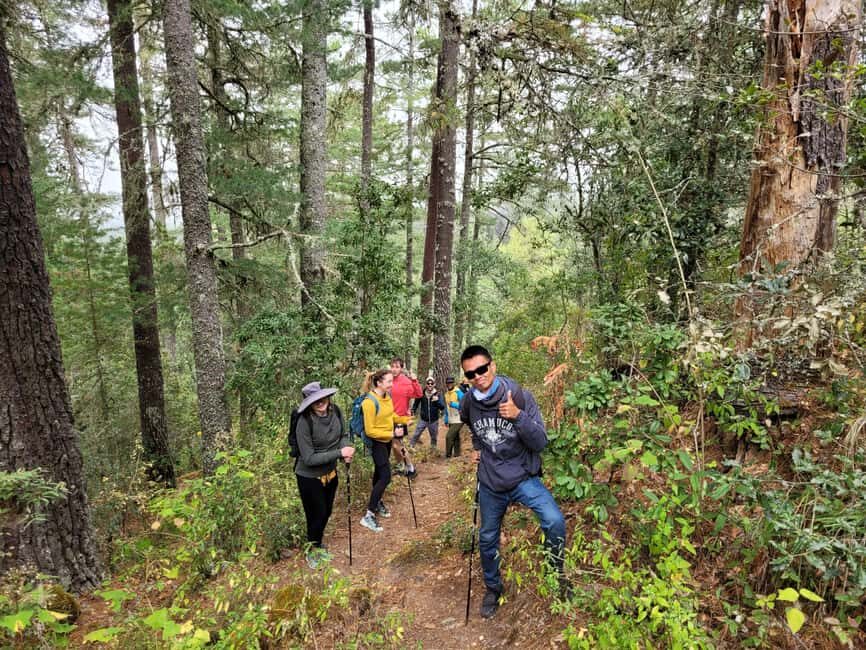 Oaxaca: Sierra Norte Ixtepeji Guided Hike & Lunch, Half-Day - The Experience in Detail