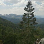 Oaxaca: Sierra Norte Tour with Zipline and Hanging Bridge - Exploring the Sierra Norte: What You Can Expect from This Tour