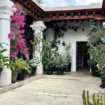 Oaxaca Walking Tour - In-Depth Breakdown of the Itinerary