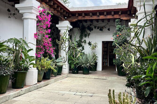 Oaxaca Walking Tour - In-Depth Breakdown of the Itinerary