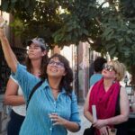 Oaxacan Urban Mythology and Colonial Art - What You Can Expect at Each Stop