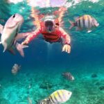 Official Chankanaab Beach Park Day pass with Lunch included - The Snorkeling Experience