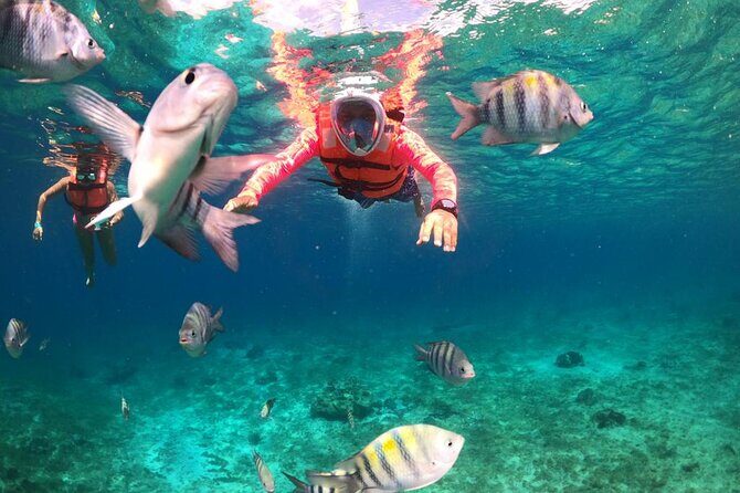 Official Chankanaab Beach Park Day pass with Lunch included - The Snorkeling Experience