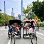 Official Pedicab Guided & Private Tours in Central Park - What Tour Participants Say
