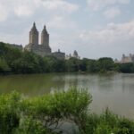 Official VIP Whole Central Park Horse Carriage Tour - What Are the Benefits?
