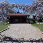 Ojos Negros Valley Wine and Cheese Route Tour in Baja California - Authenticity and Value