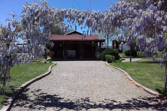 Ojos Negros Valley Wine and Cheese Route Tour in Baja California - Authenticity and Value