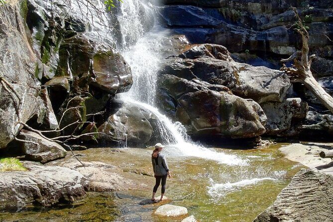 Old Growth Forest Cascade - Who Should Consider This Tour?