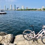 Old Milwaukee Lite 1:30pm E-Bike Tour - Who Should Consider This Tour?